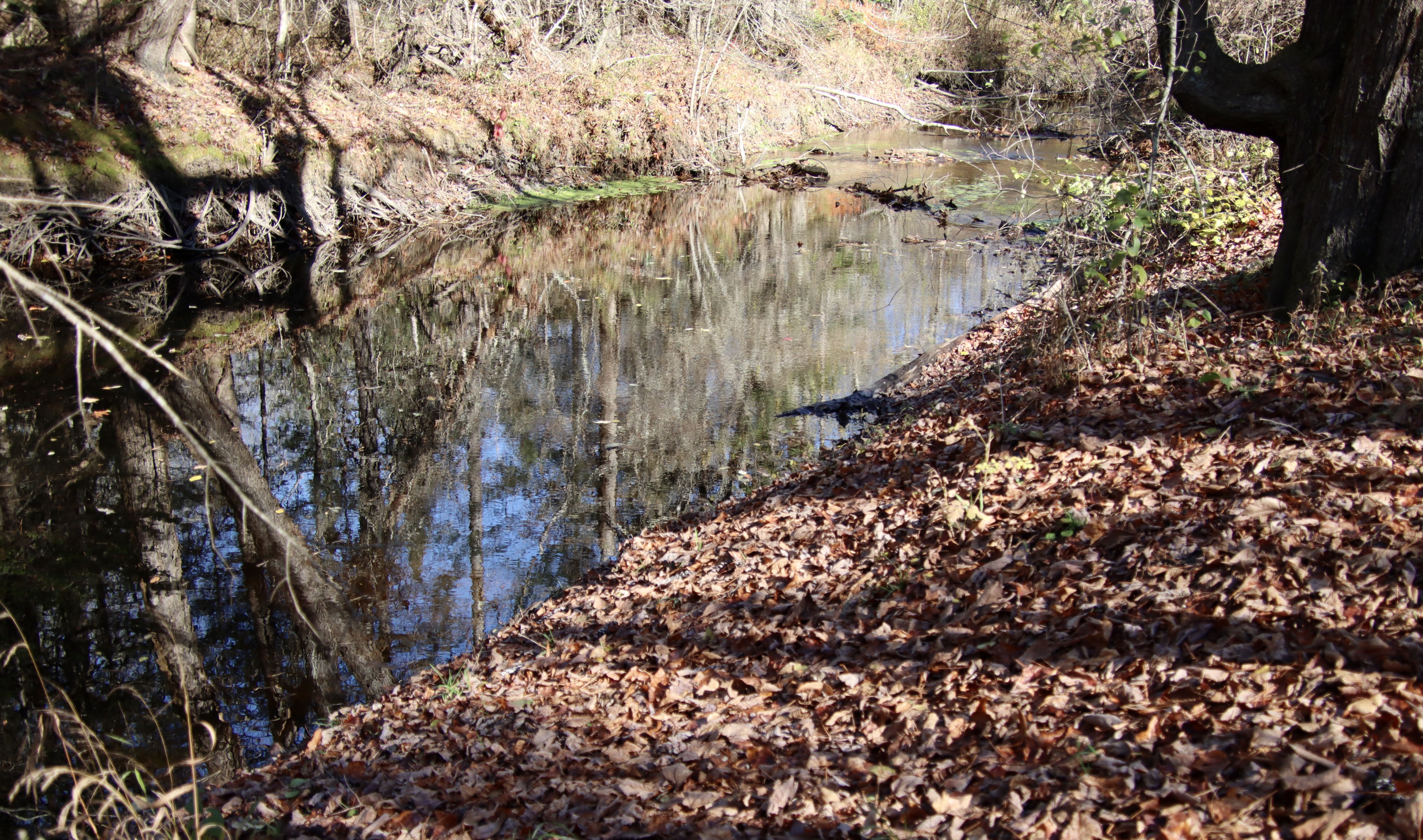 Off Fengler Rd. (3) | Nonesuch Project